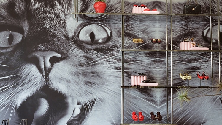 Animal House Collection: Limited Edition Cat Styles | Tory Burch UK